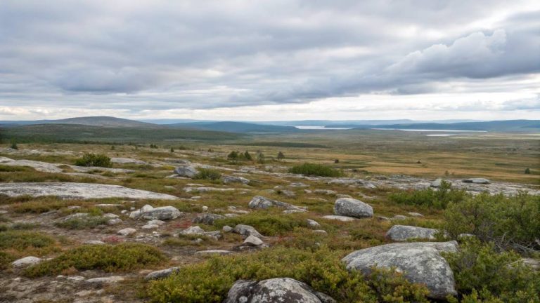 How to Explore the Northern Scandinavian Tundra - Semesta Travel
